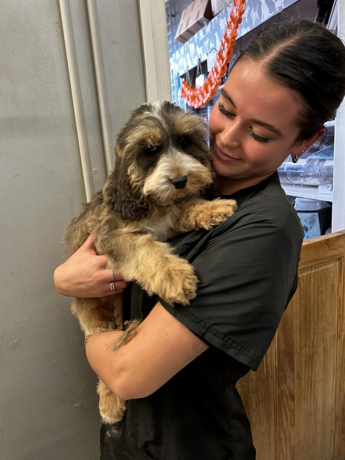 Emily Sales - Apprentice Dog Groomer | DogTails Grooming